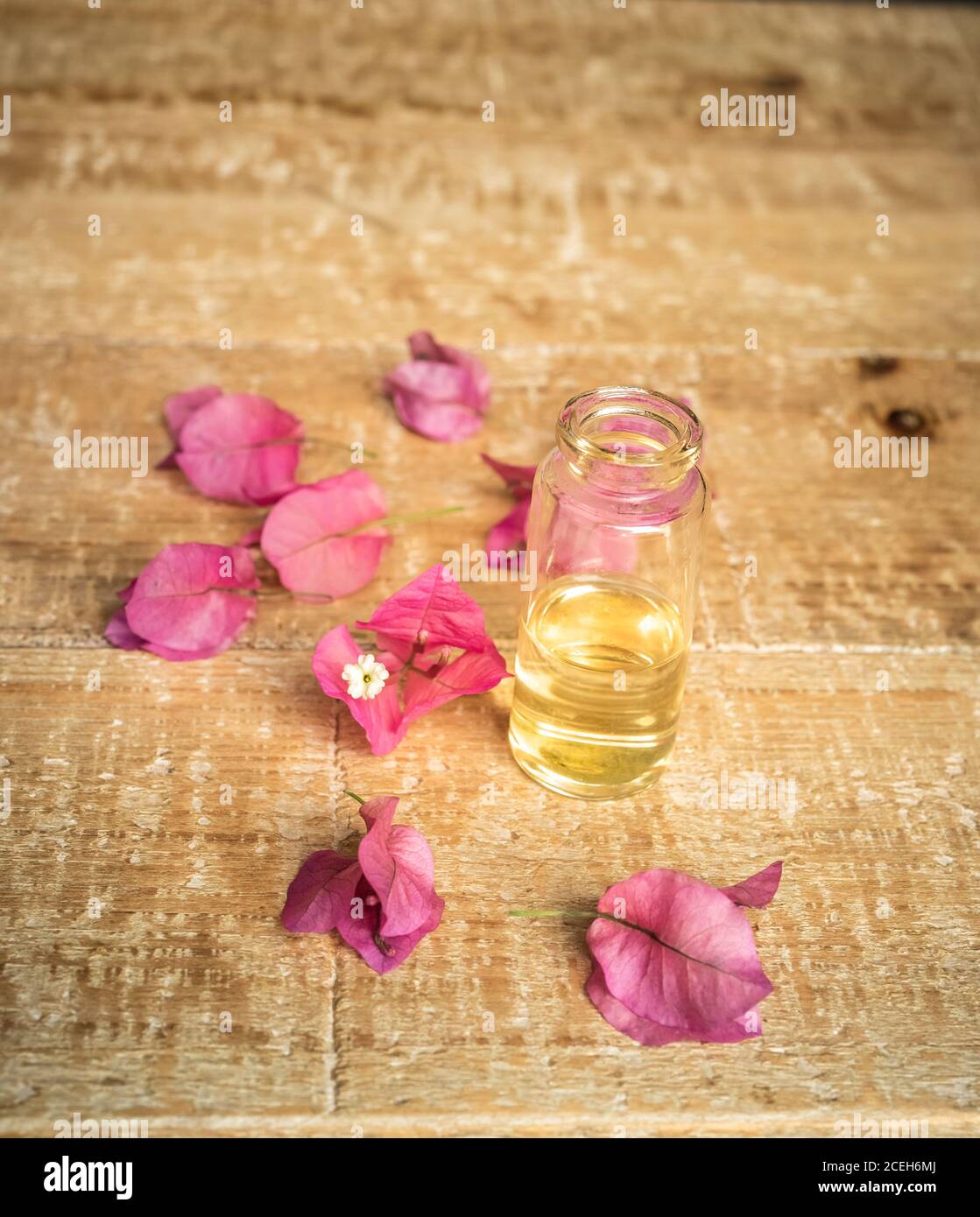 Close-up of essential oil in small glass bottle with bougainvillea ...