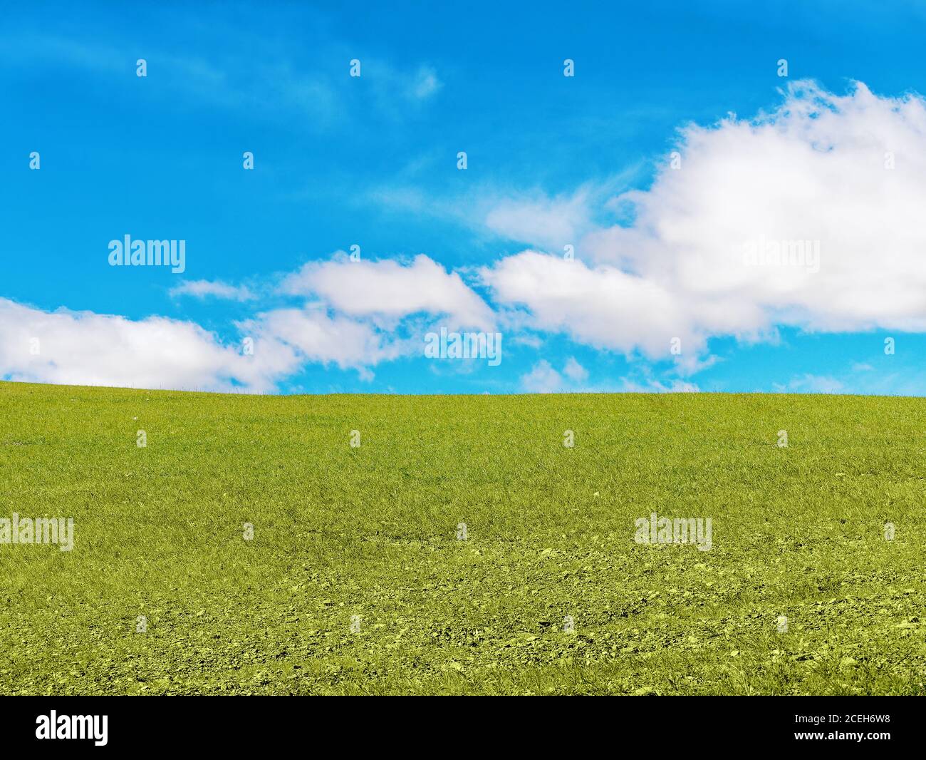 grass clean blue sky Beautiful landscape Stock Photo - Alamy
