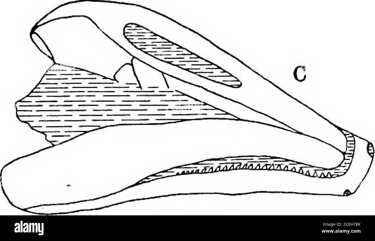 Lowerview hi-res stock photography and images - Alamy