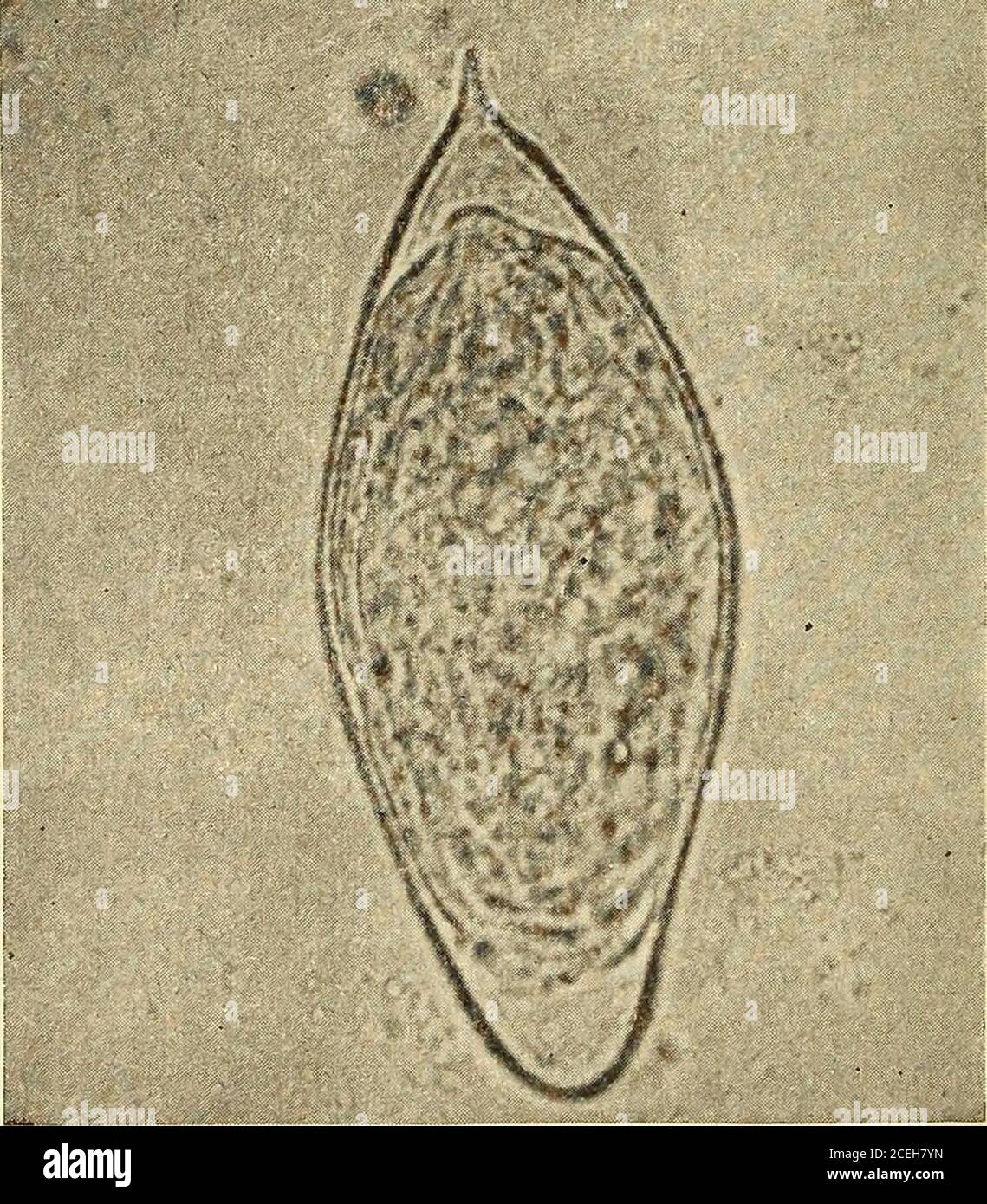 . Pathological technique; a practical manual for workers in ...