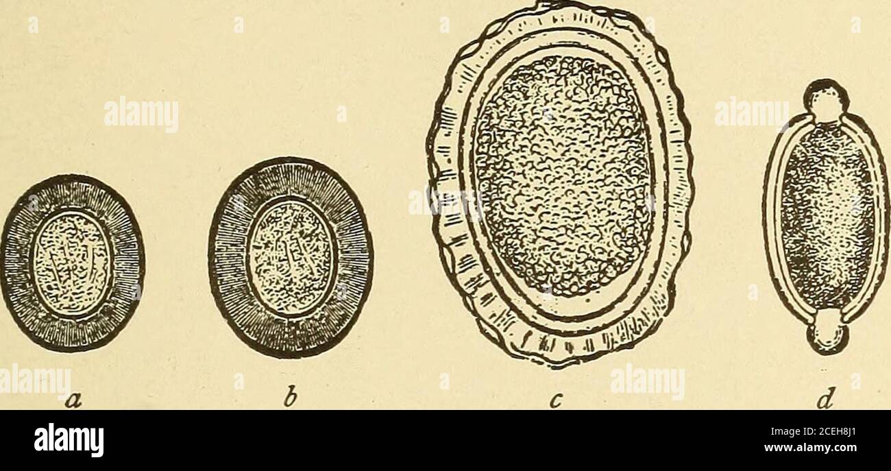 . Pathological technique; a practical manual for workers in ...