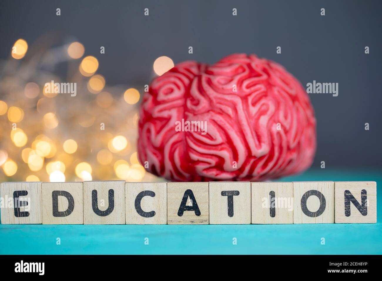 Brain, Education and Lesson Concept Stock Photo - Alamy