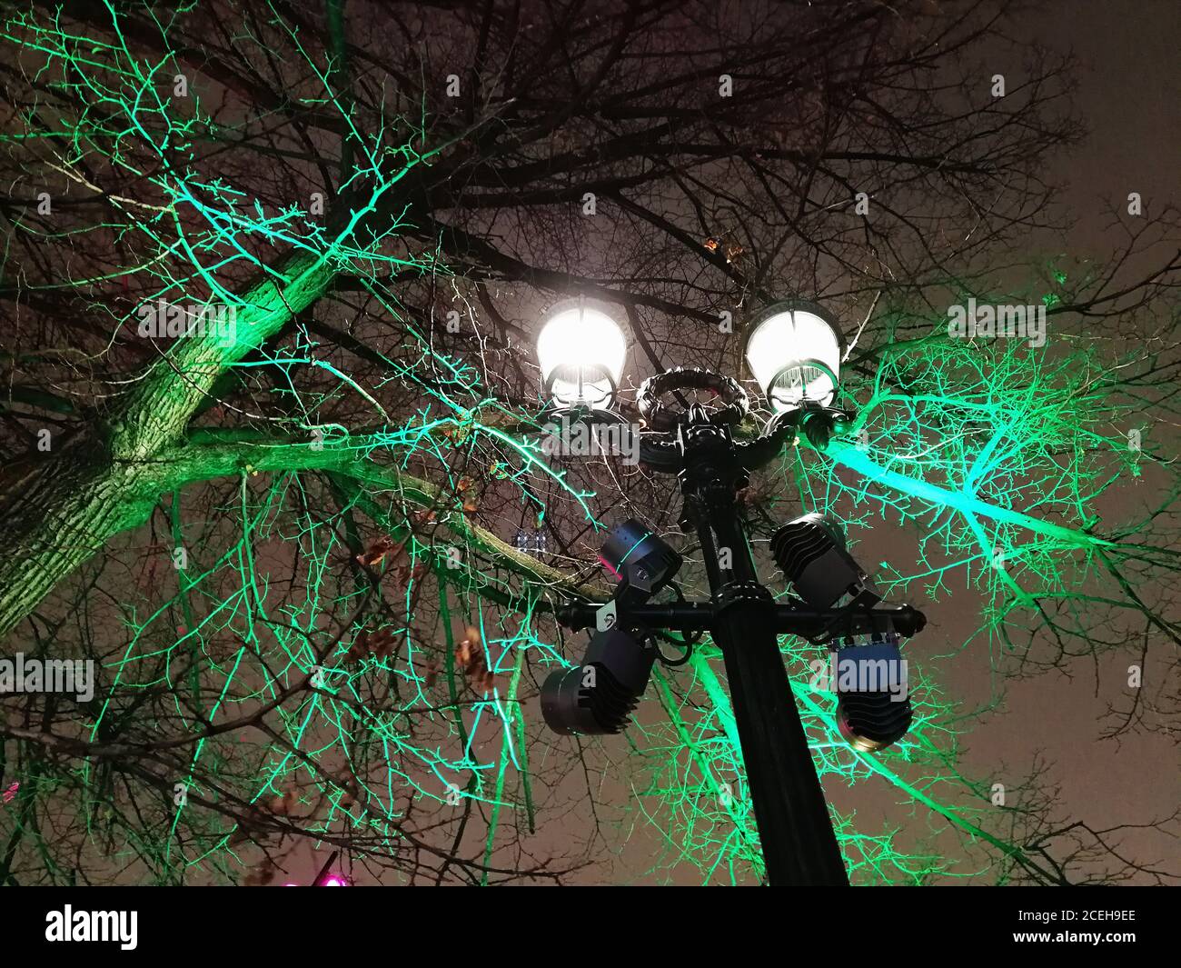 Decorative street lamp post trees in hi-res stock photography and ...