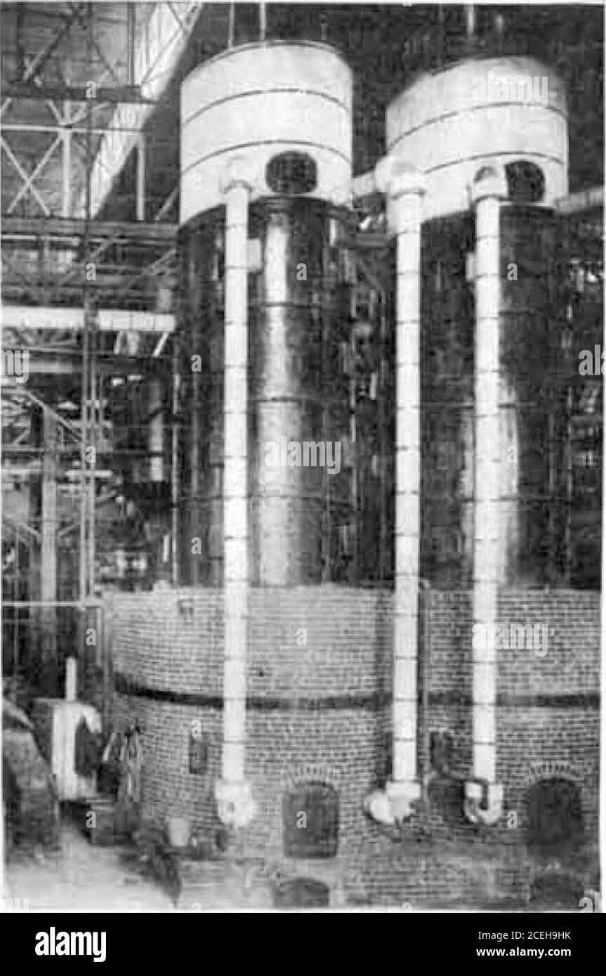 Boi photographs hi-res stock photography and images - Alamy