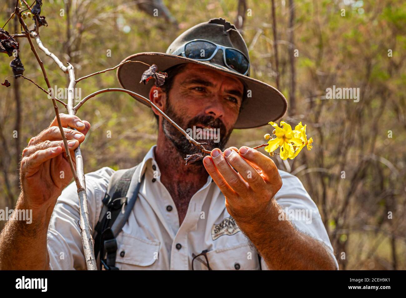 Guided Tour with a Ranger through the Australian Outback Stock Photo ...