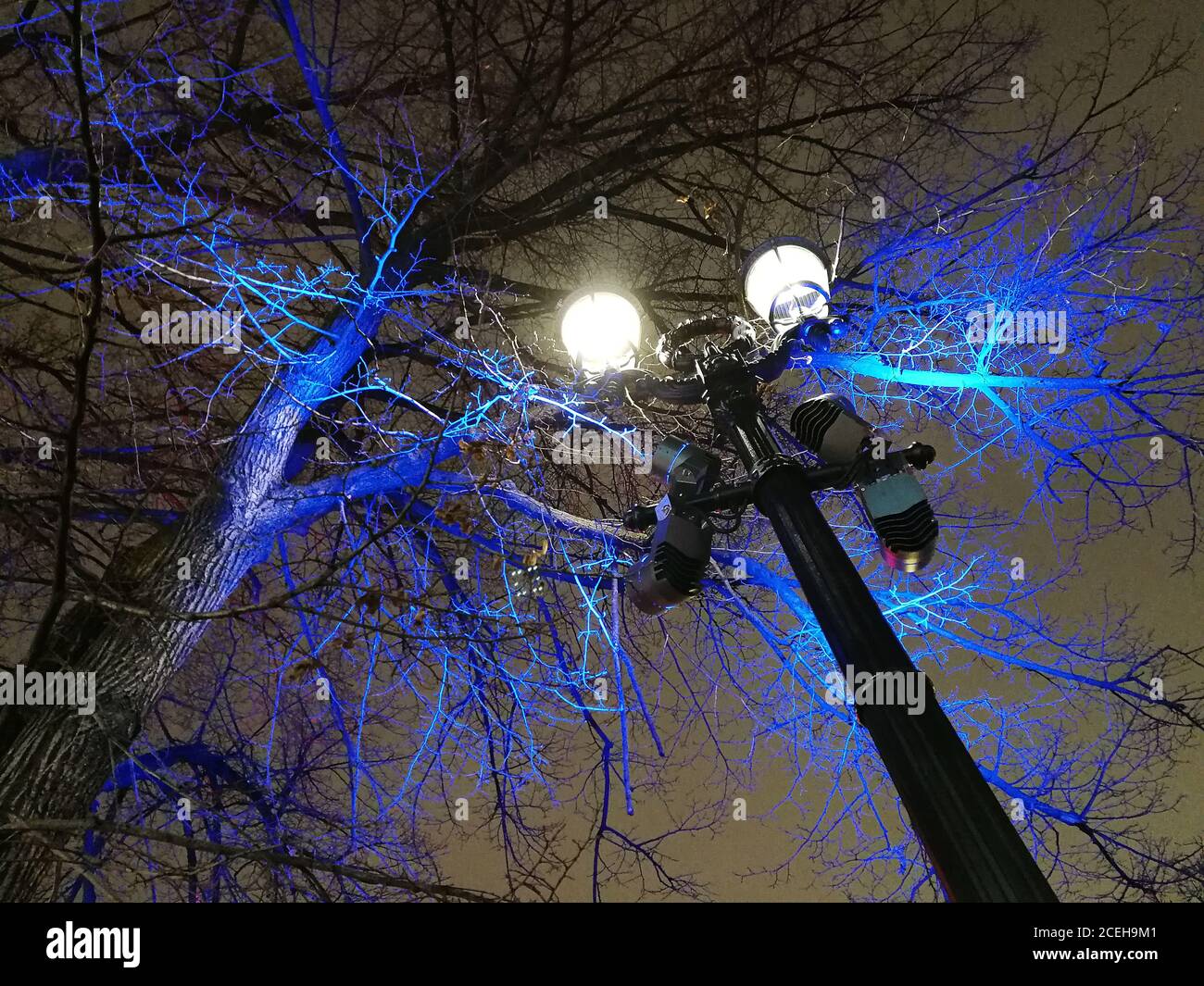 Decorative street lamp post trees in hi-res stock photography and ...