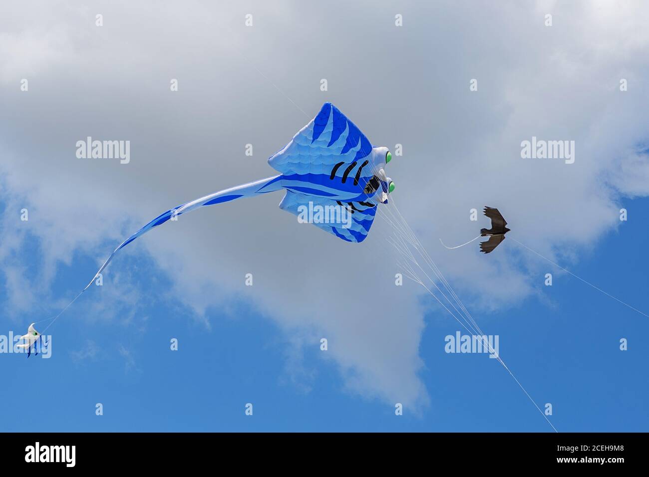 kites flying in a blue sky. Kites of various shapes. kiting Stock Photo ...