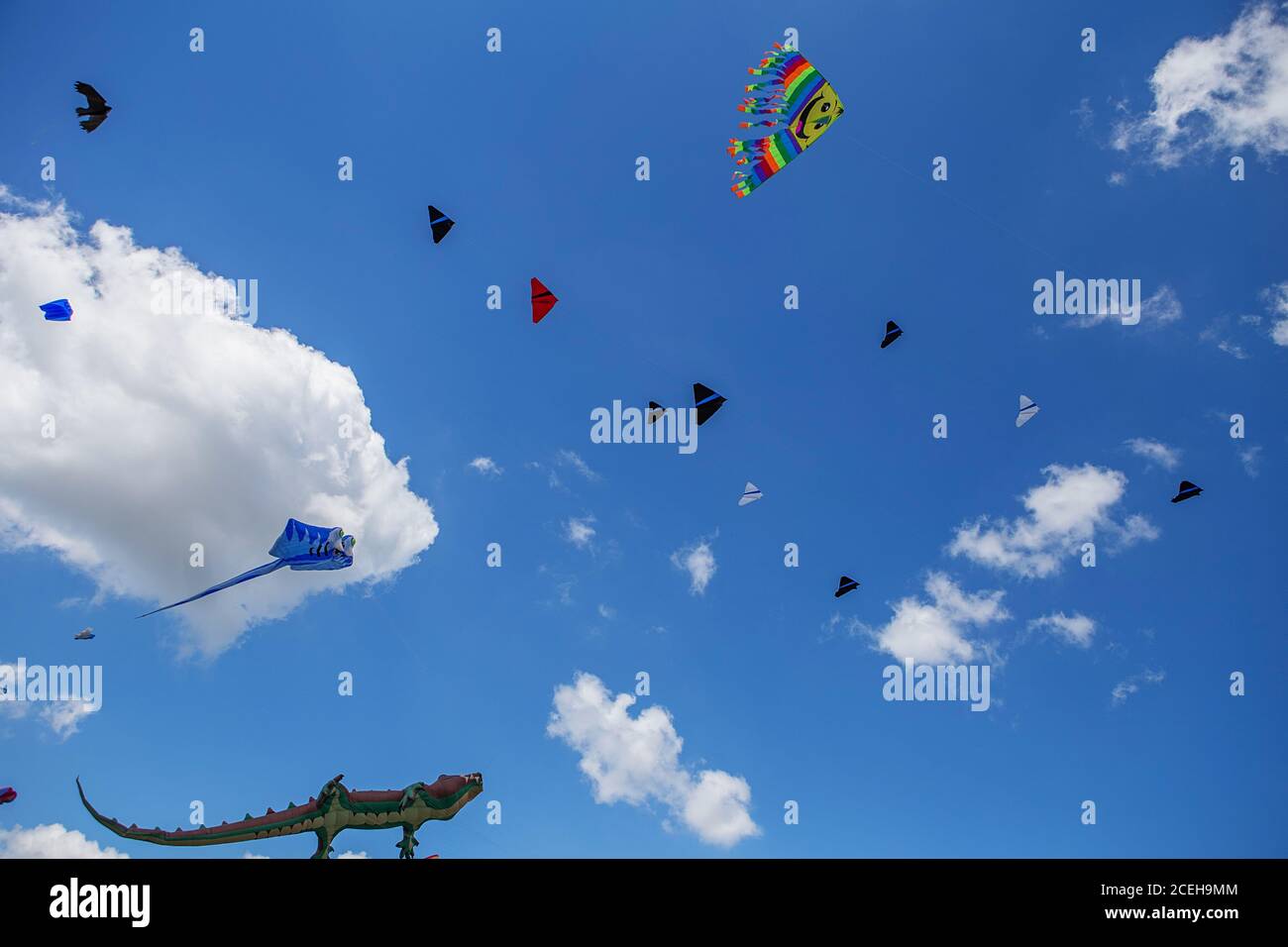 kites flying in a blue sky. Kites of various shapes. kiting Stock Photo ...