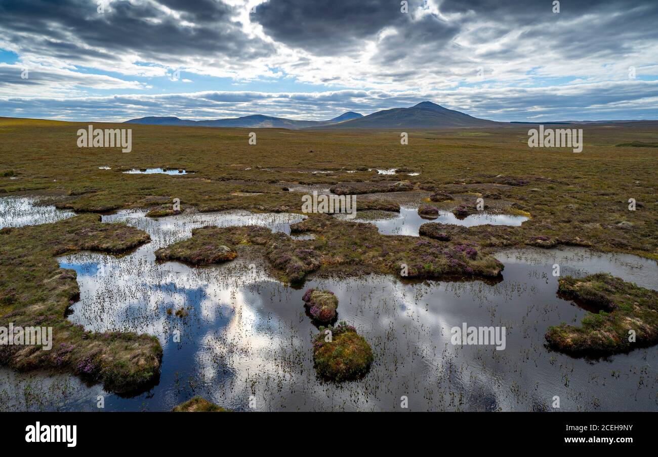 View of landscape of the Flow Country at RSPB Forsinard Flows Nature ...