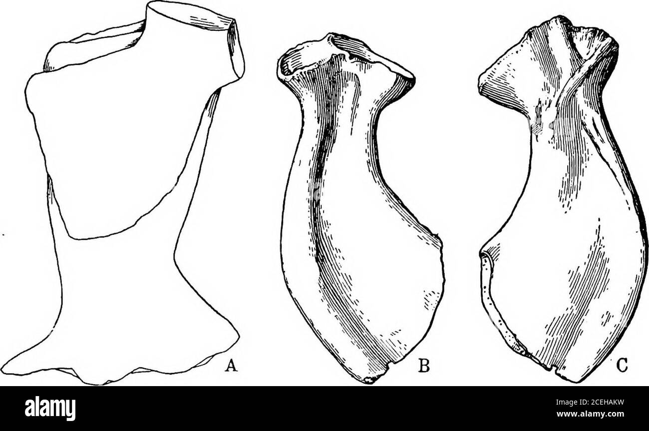 Tion forms Black and White Stock Photos & Images - Alamy