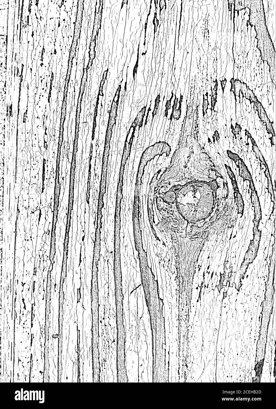 Wooden line texture. Surface of wood texture with natural pattern ...