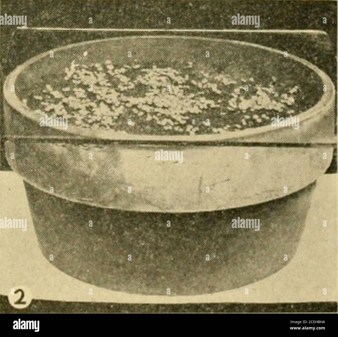 Inverted plant pot hi-res stock photography and images - Alamy