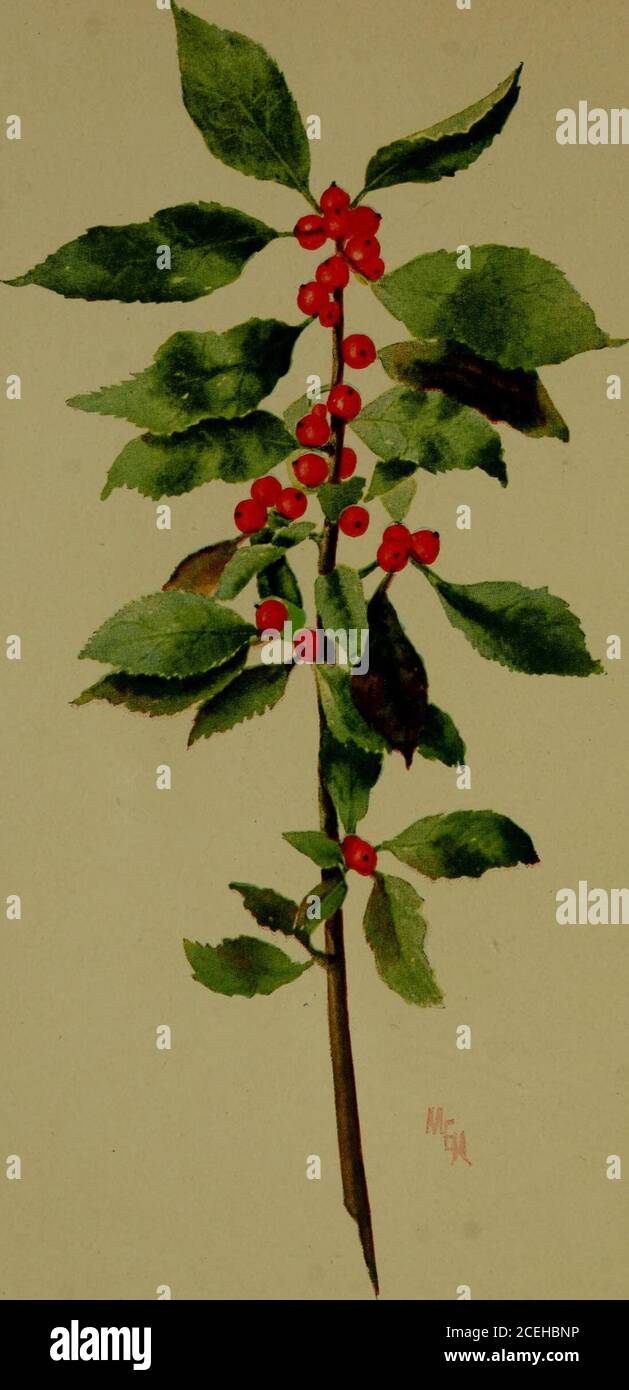 Mary norwood hi-res stock photography and images - Alamy