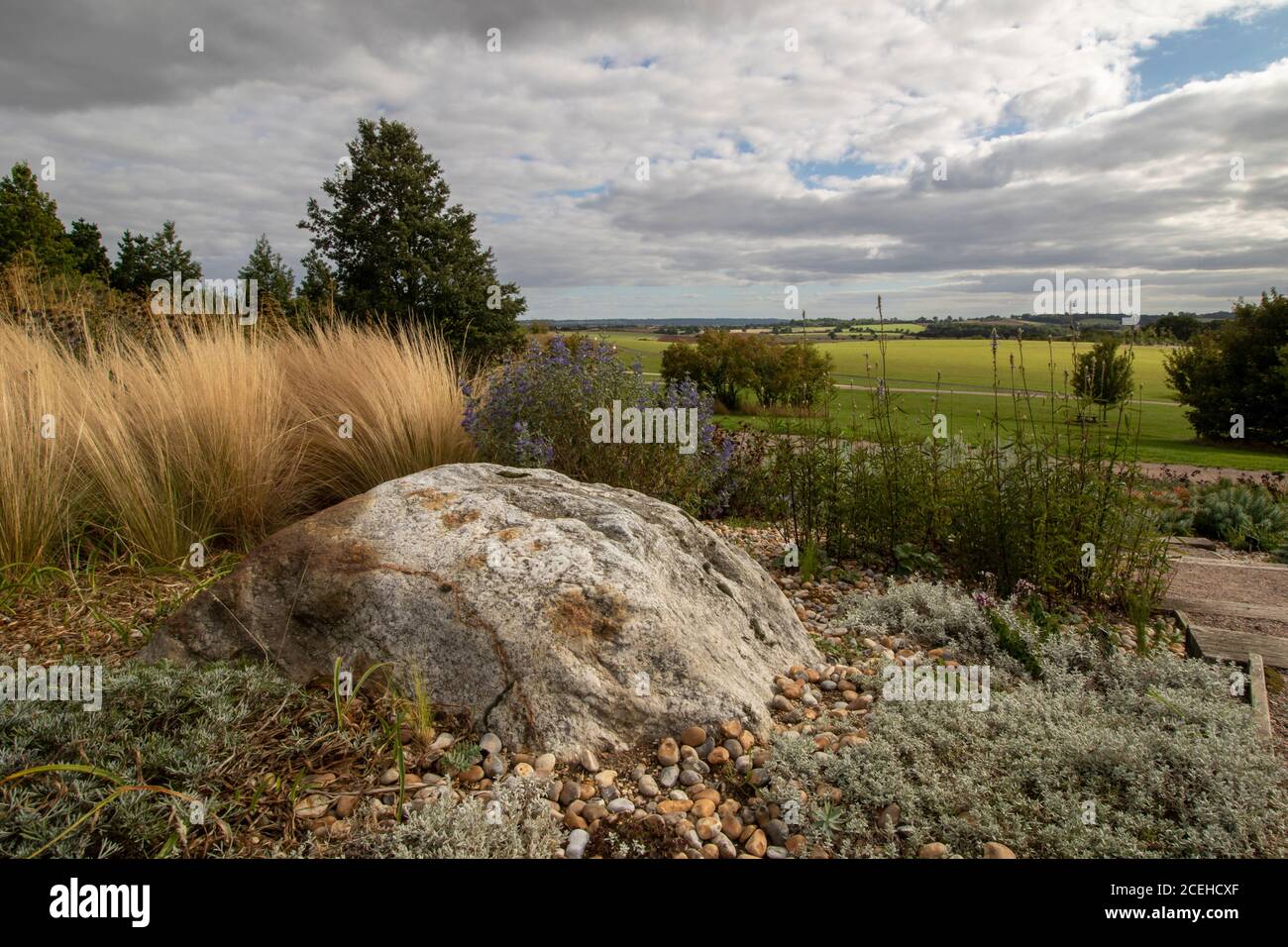 Verdant Essex landscape with large rock and Stipa Tenuissima Stock ...
