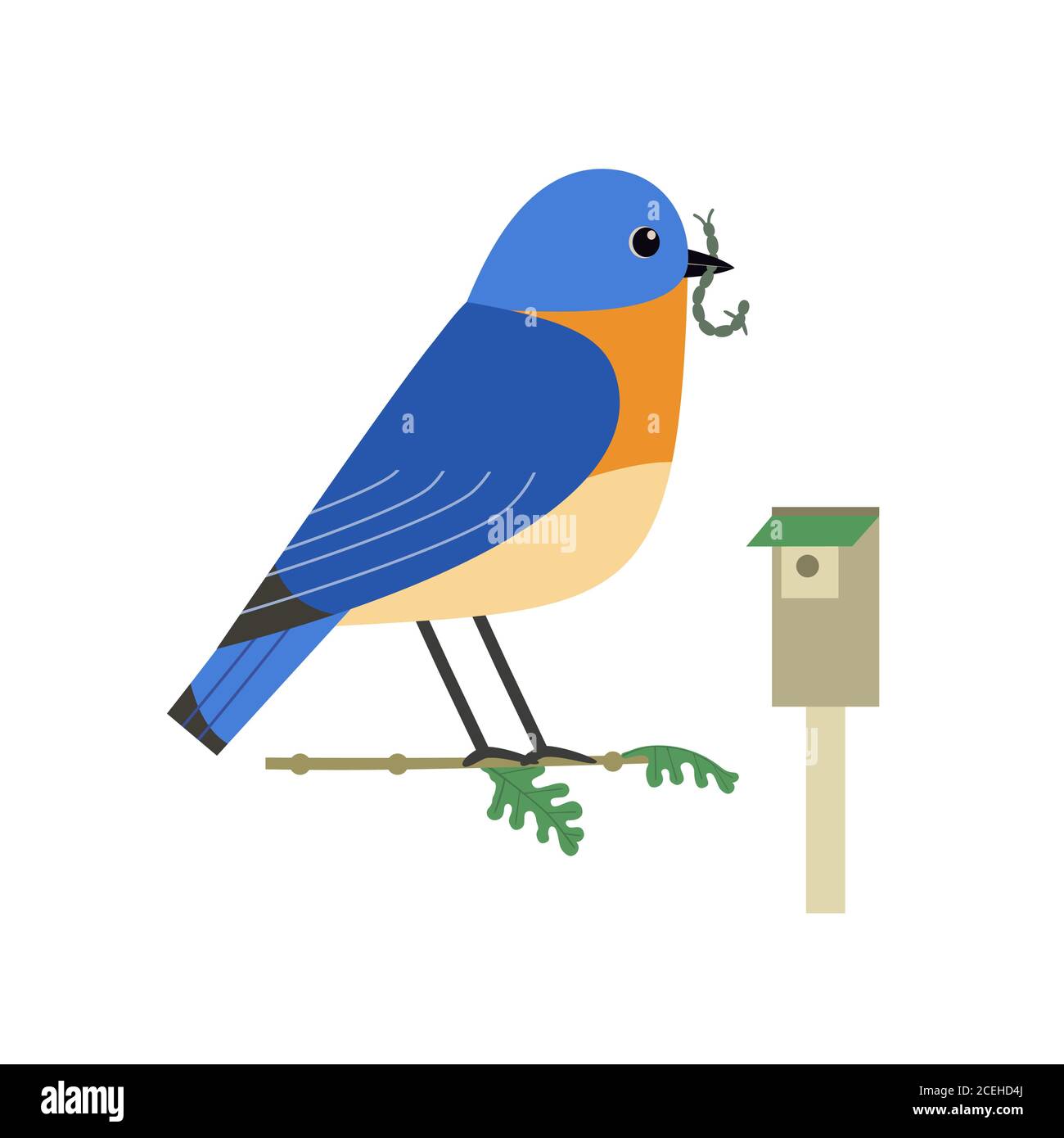 Cartoon Bluebird High Resolution Stock Photography and Images - Alamy