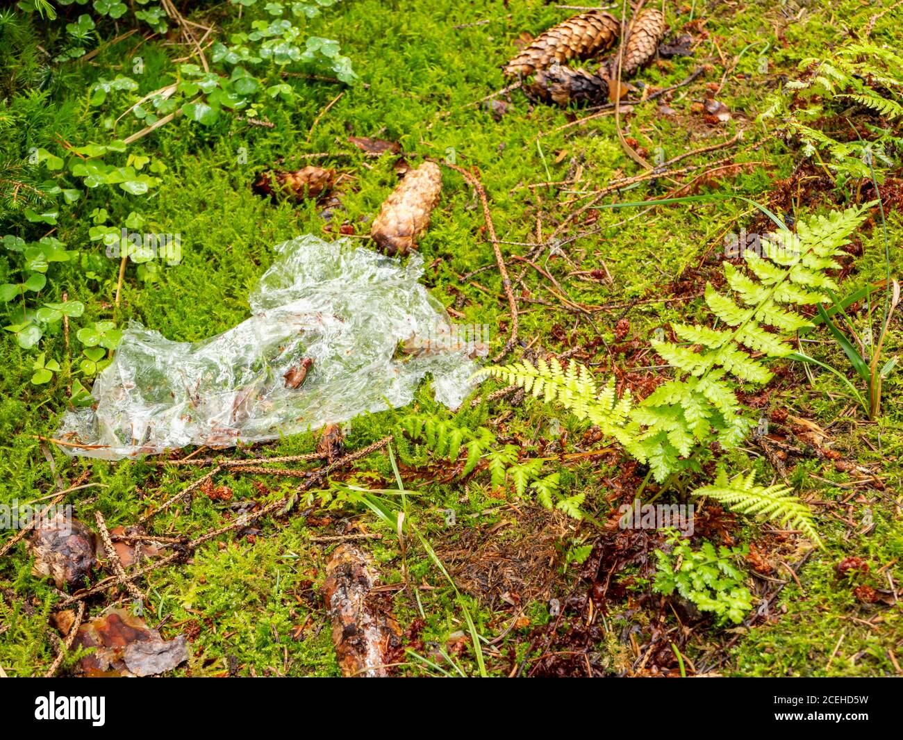 Microplastic in food environmental hi-res stock photography and images ...