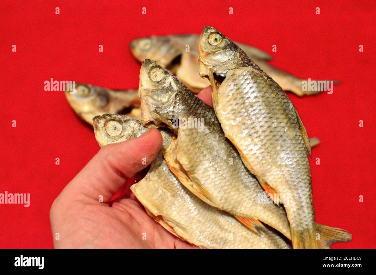 Russian Lager High Resolution Stock Photography and Images - Alamy