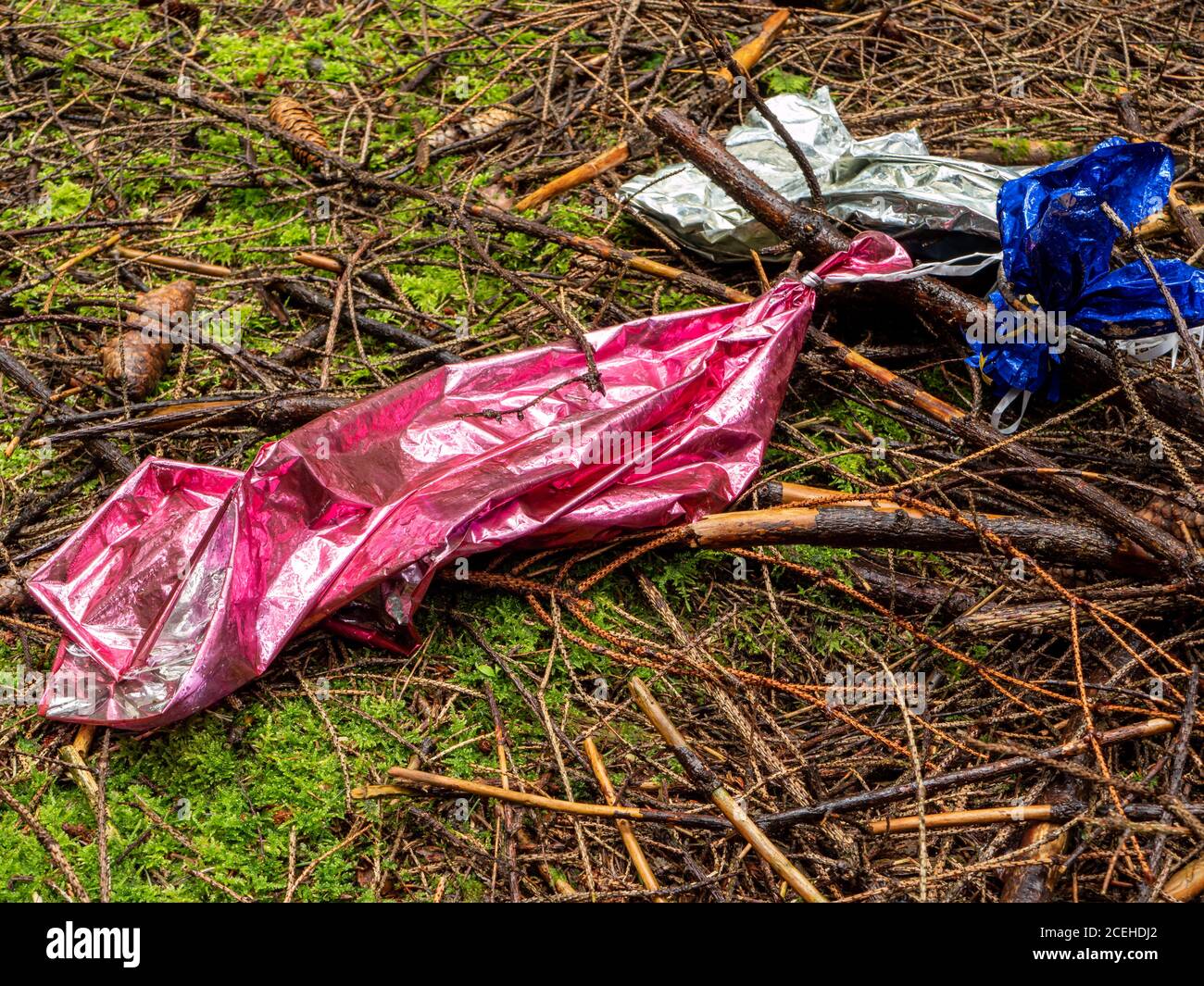 Plastic garbage lies in the forest Stock Photo - Alamy