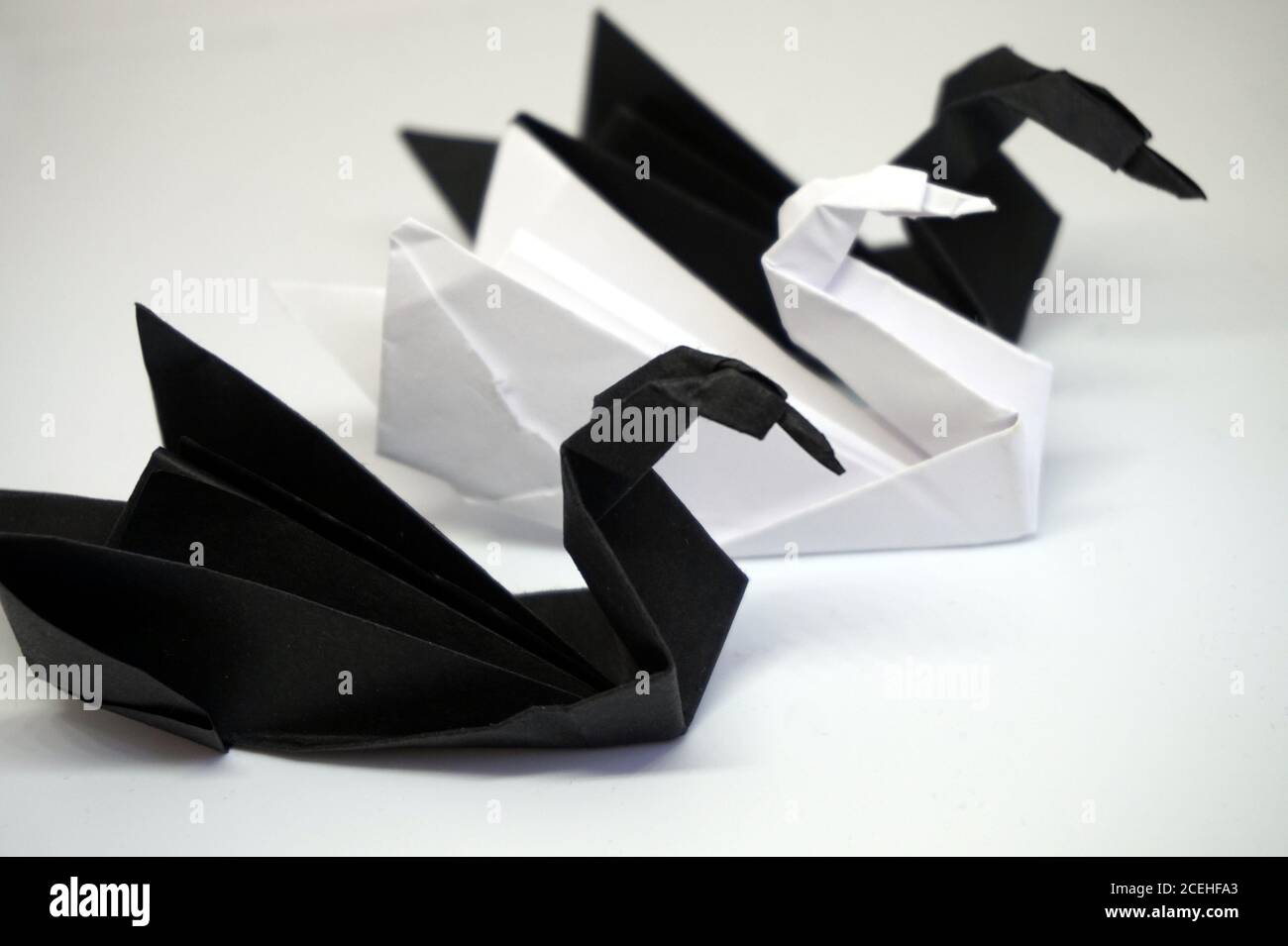 black and white origami swans Stock Photo - Alamy