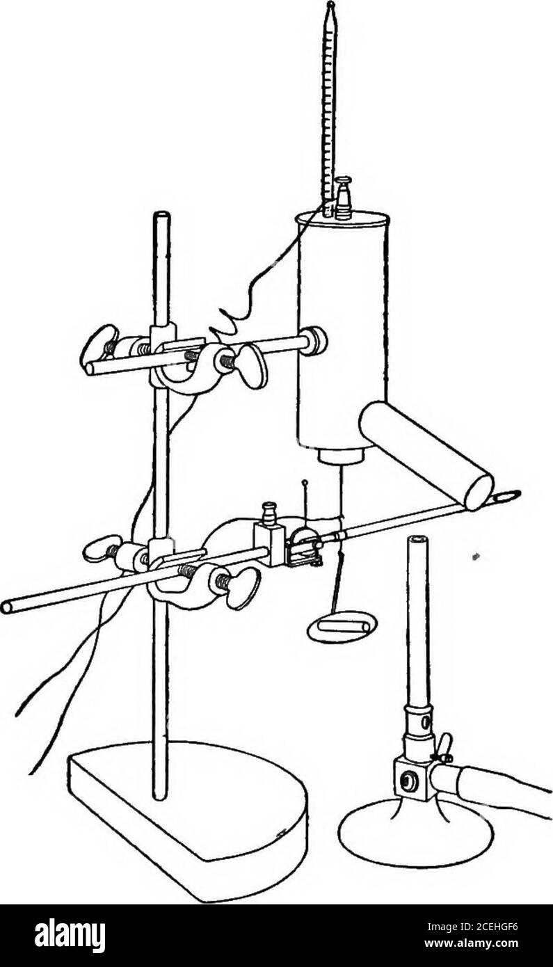 Rigid muscle Black and White Stock Photos & Images - Alamy