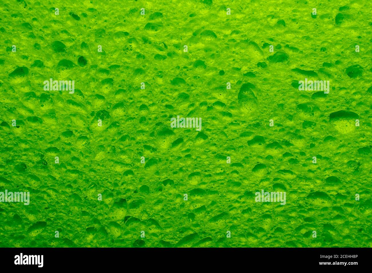 green Cellulose foam sponge Stock Photo - Alamy