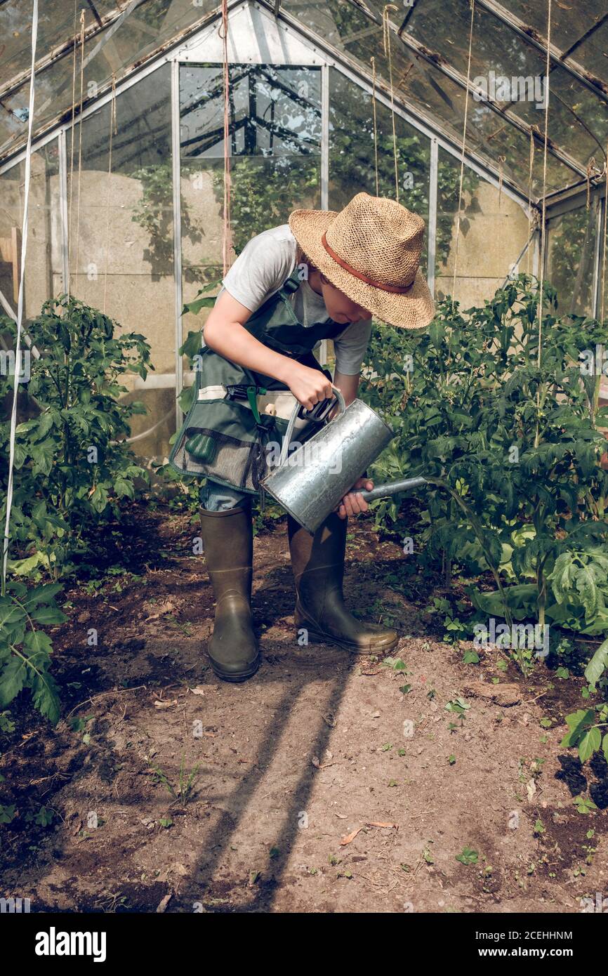 Kid watering plants in greenhouse Stock Photo - Alamy