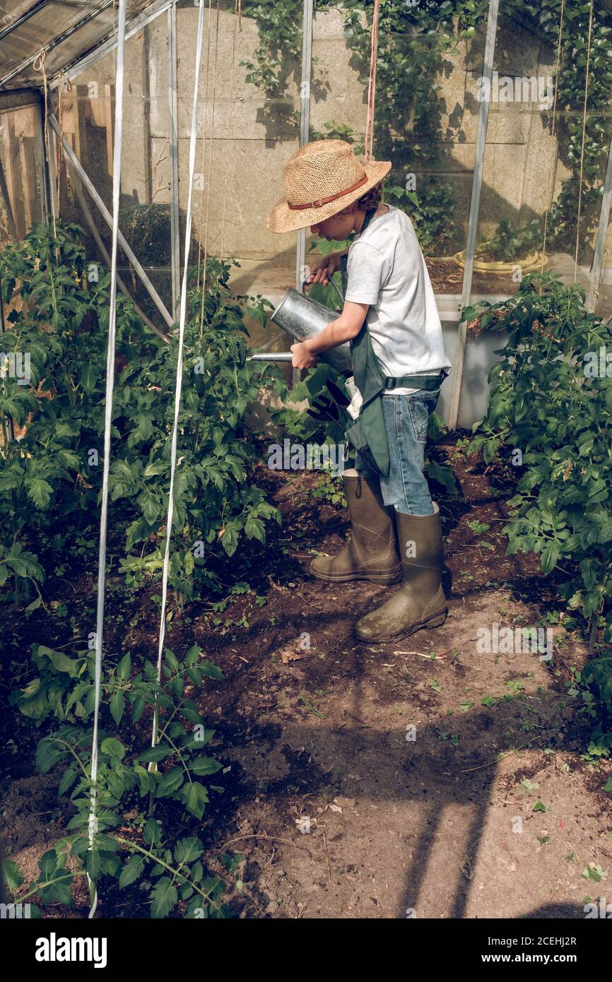 Kid watering plants in greenhouse Stock Photo - Alamy