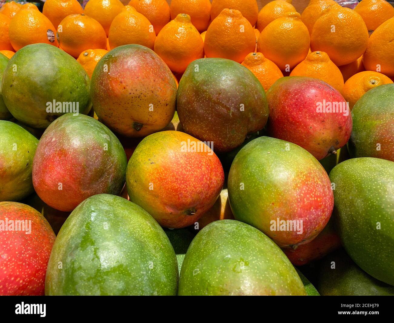 Ripe colorful mangos in a bin at a grocery store Stock Photo - Alamy