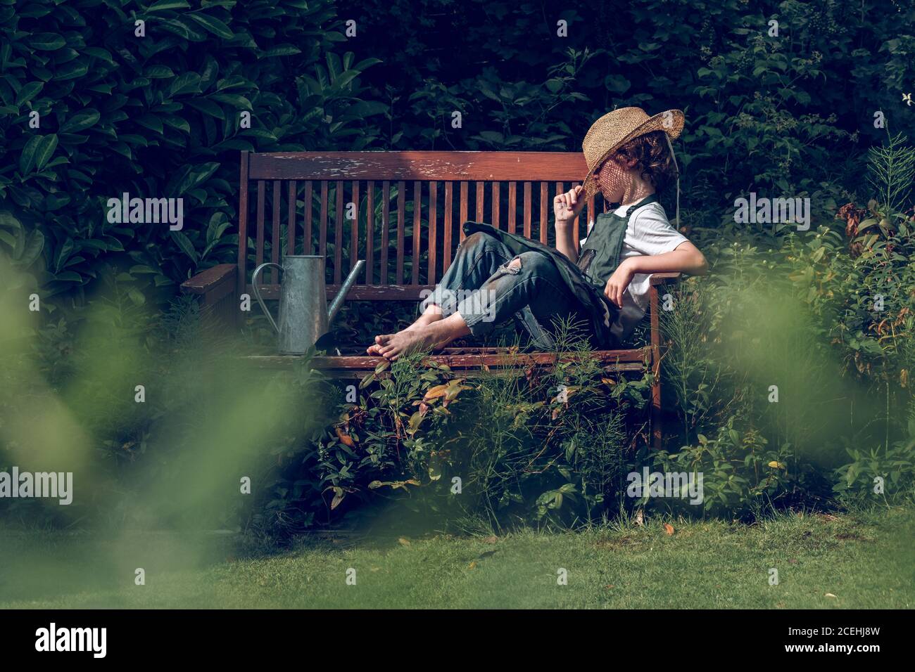 Sleepy plants hi-res stock photography and images - Alamy