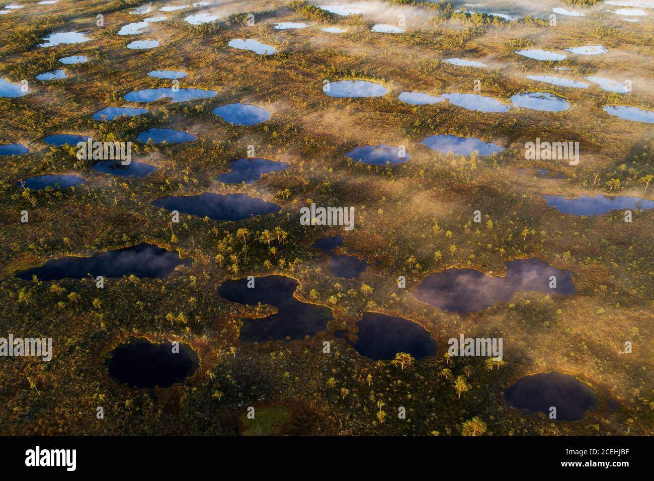 Soomaa National Park, Kuresoo bog. An aerial view of bog lakes in the ...