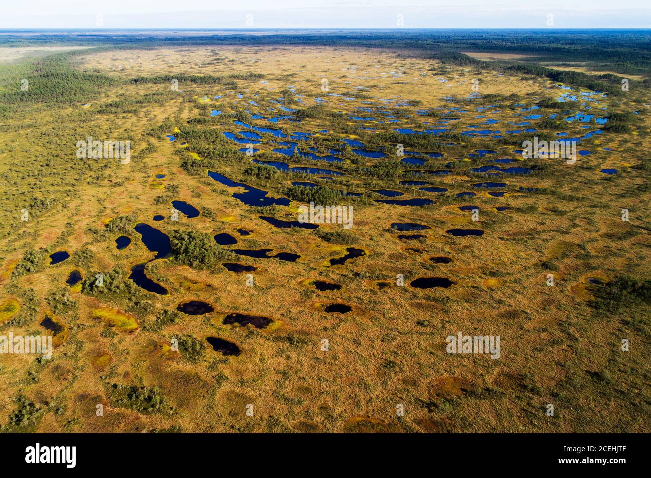 Soomaa National Park. An aerial view of Valgesoo bog lakes in the ...