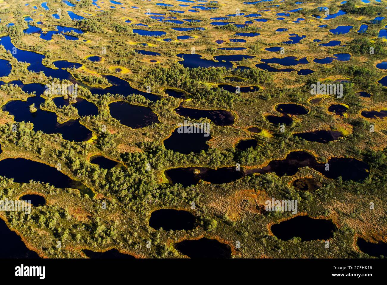 Soomaa National Park. An aerial view of Valgesoo bog lakes in the ...