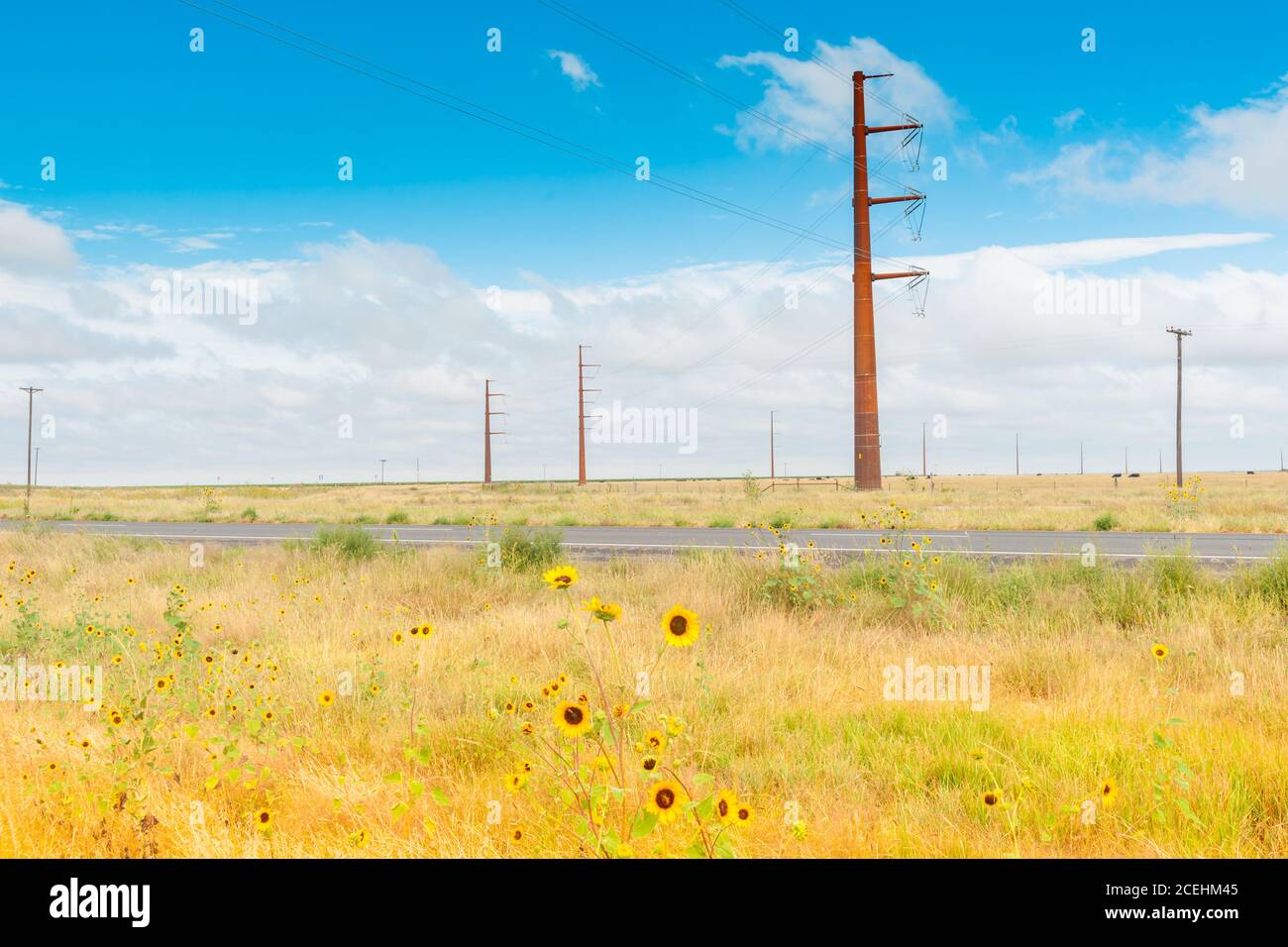 Giant power pylons carry power across rural landscape on Route 66 Texas ...