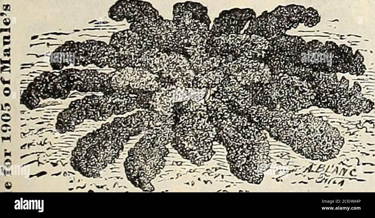 Glob tops hi-res stock photography and images - Alamy