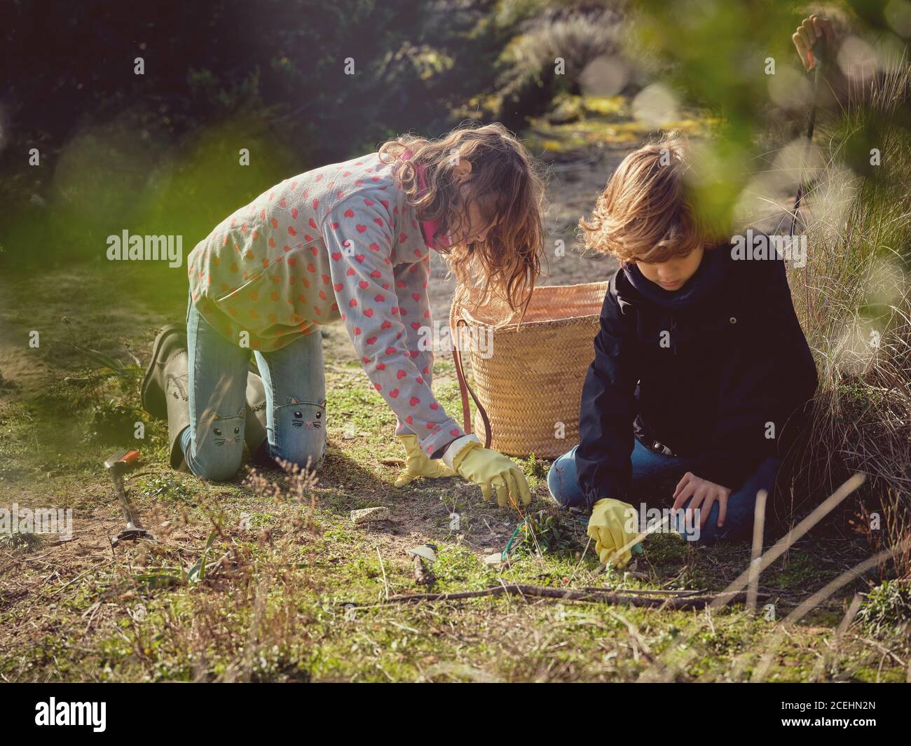 Children picking up garbage in park hi-res stock photography and images ...