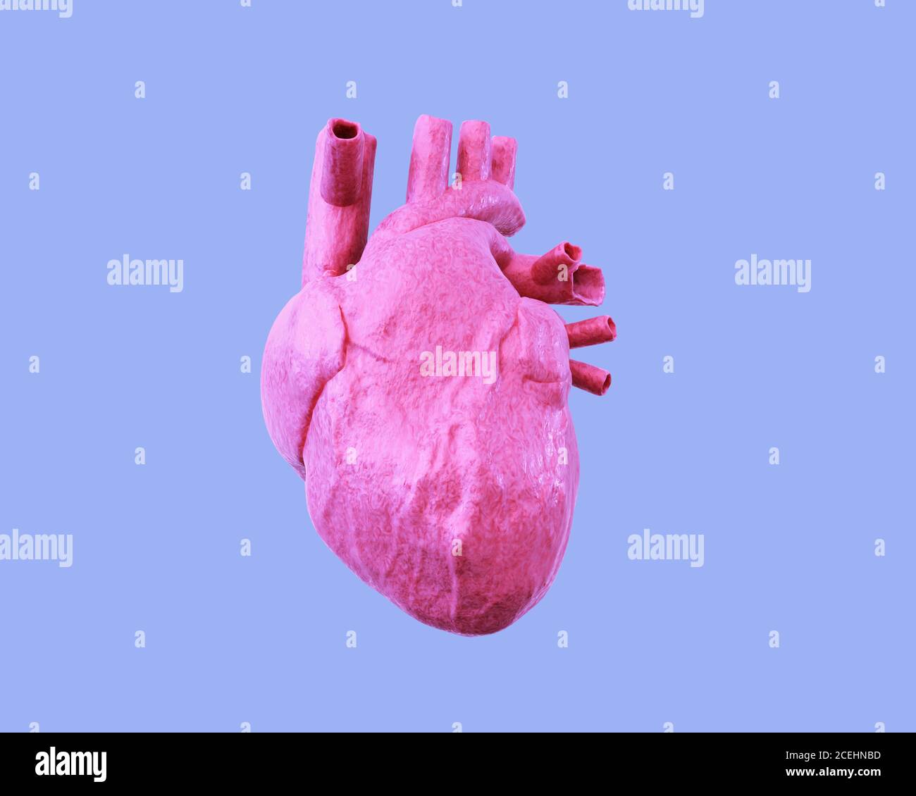 Pink human heart isolated on a blue background. 3d illustration Stock ...
