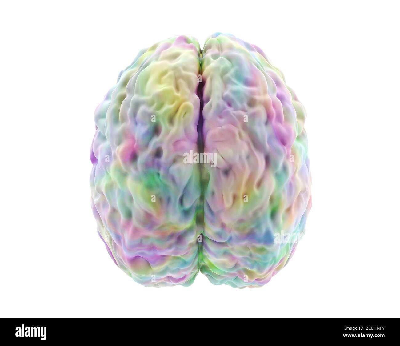 brain activity, multicolor human brain model isolated on white ...