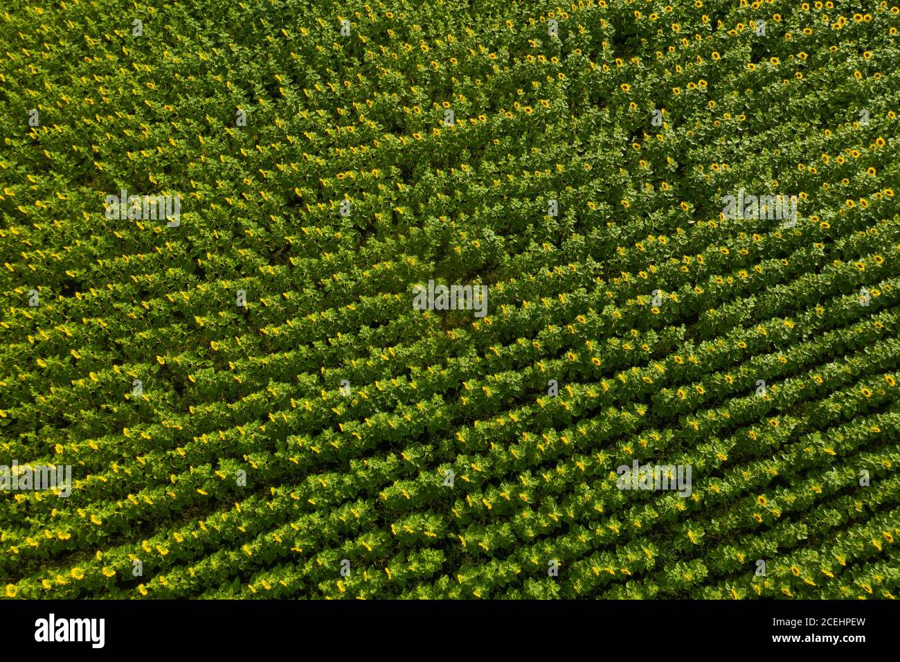 High quality landscape photography hi-res stock photography and images ...