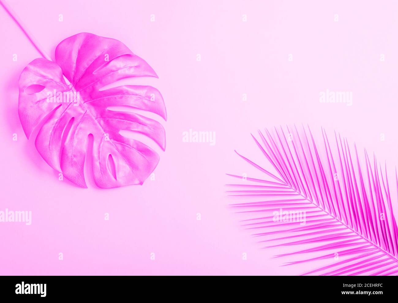 Summer composition. Monstera and palm leaves. Pink color filter. Summer ...