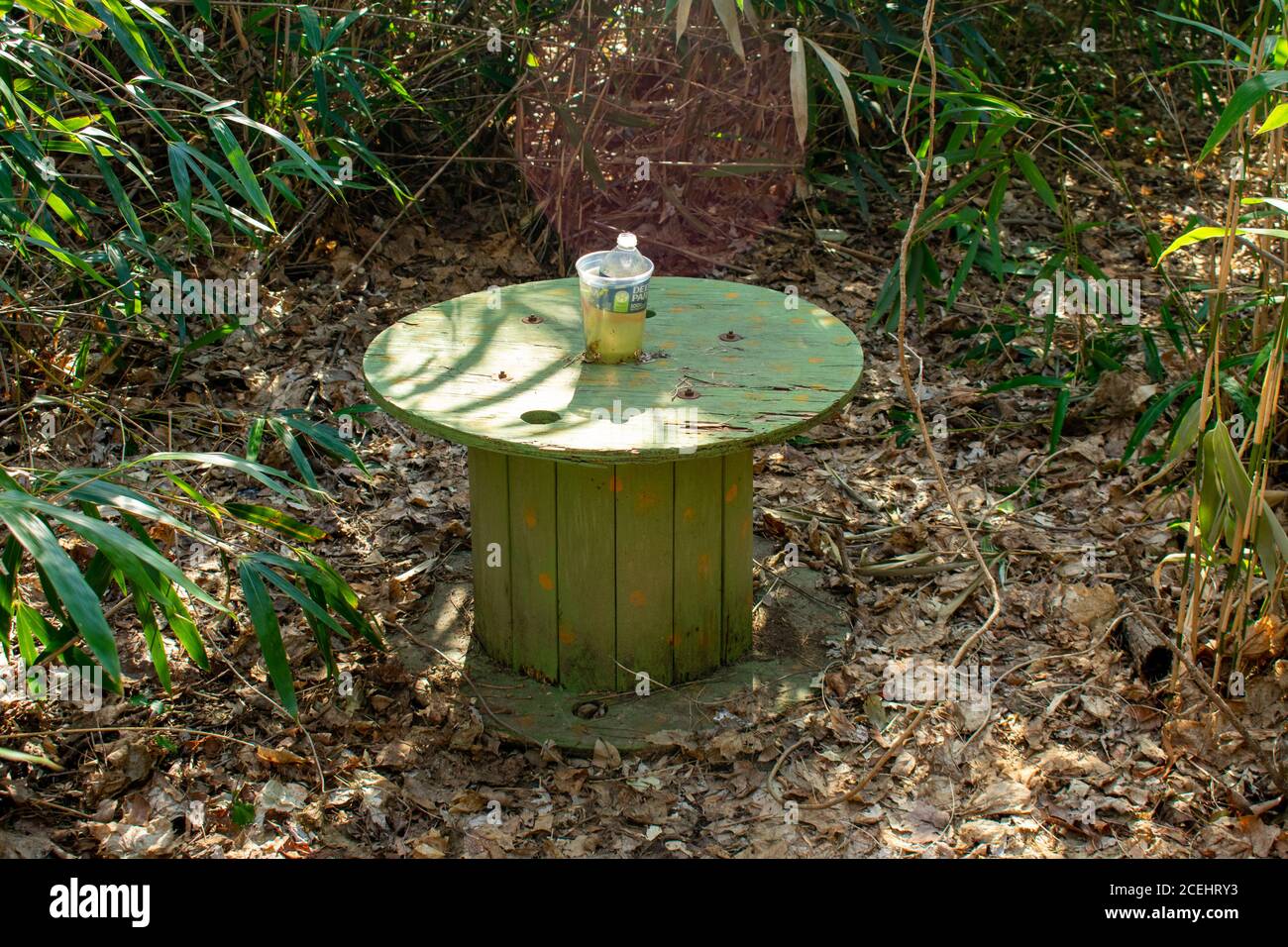 A Large Wooden Spool in a Clearing in a Forest Used as a Table Stock ...