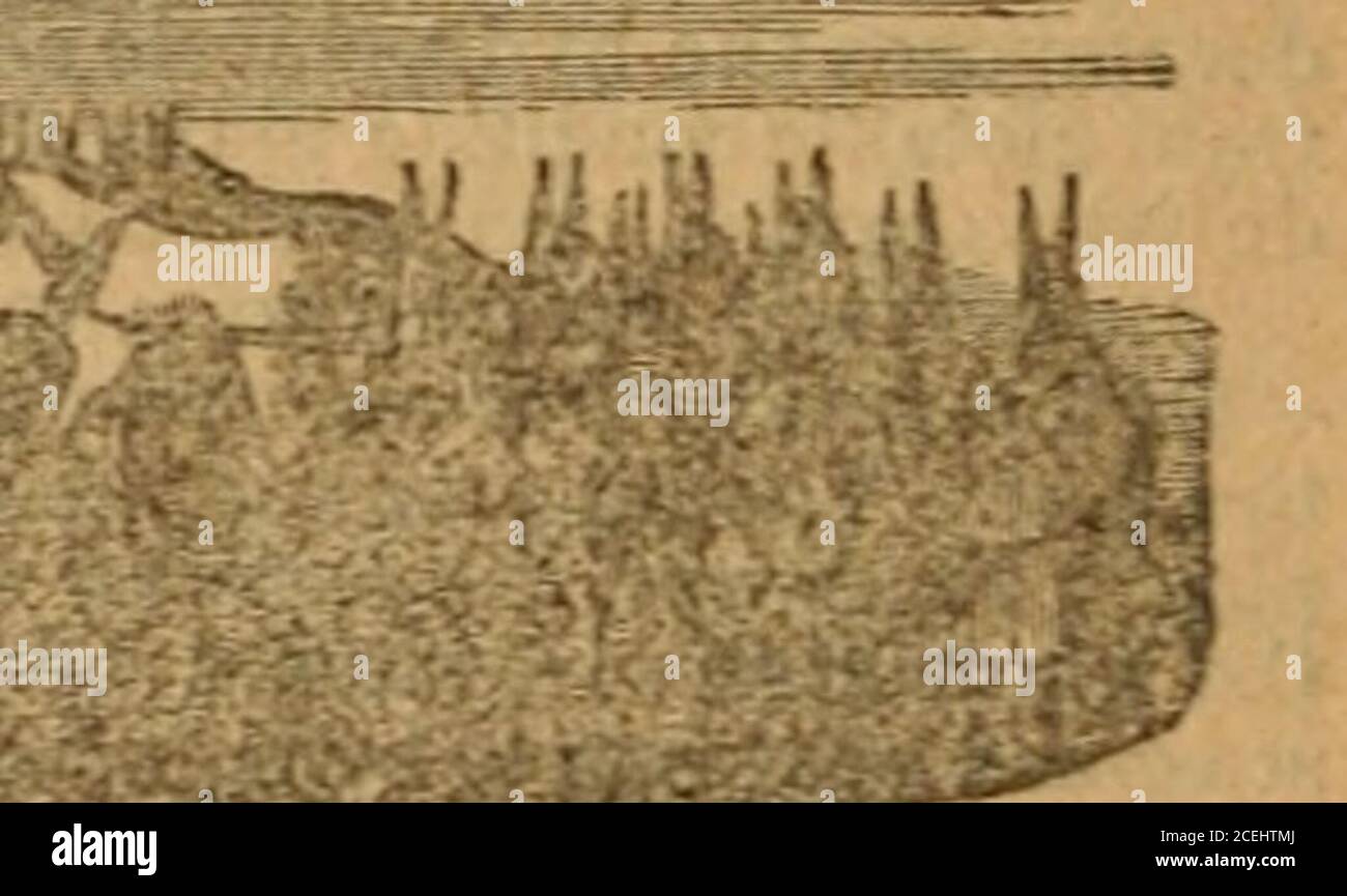 Peocess hi-res stock photography and images - Alamy