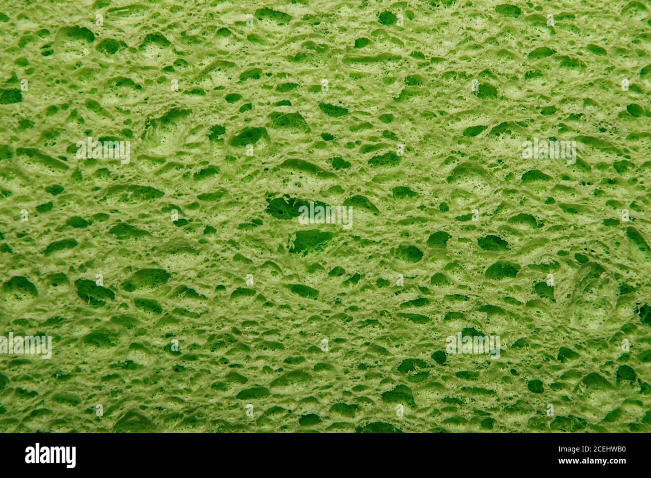 Green Cellulose foam sponge Stock Photo - Alamy