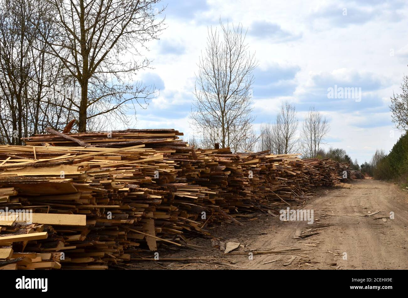 Logs stacked on logging and woodworking industry. A stock pile of ...