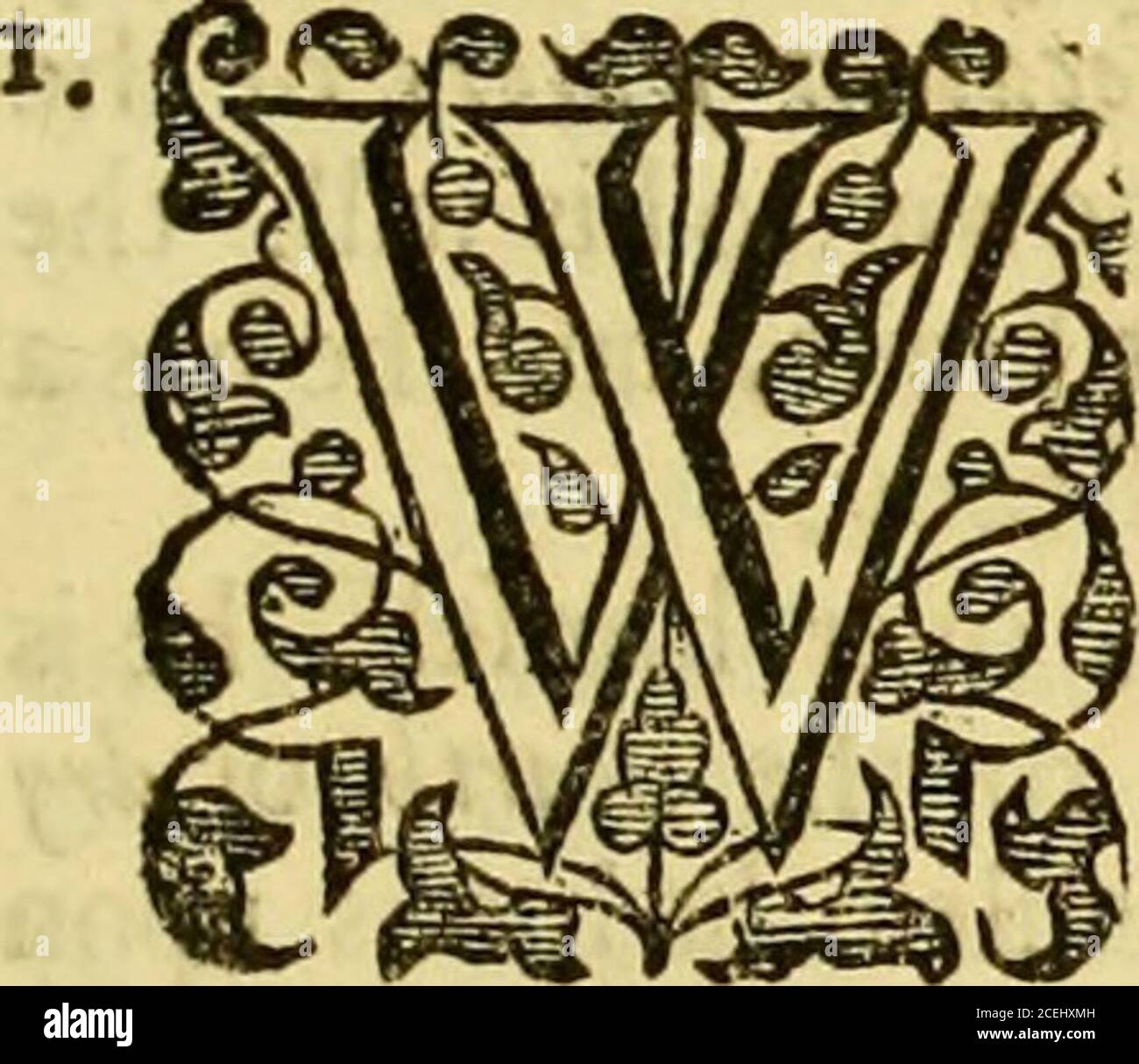 Parable of the vine hi-res stock photography and images - Alamy