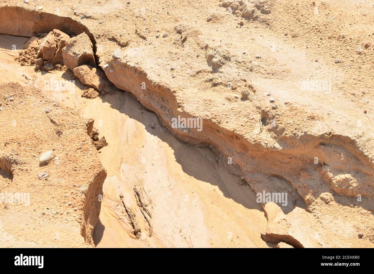 Background of yellow sand with small stones after rain. Soil erosion ...