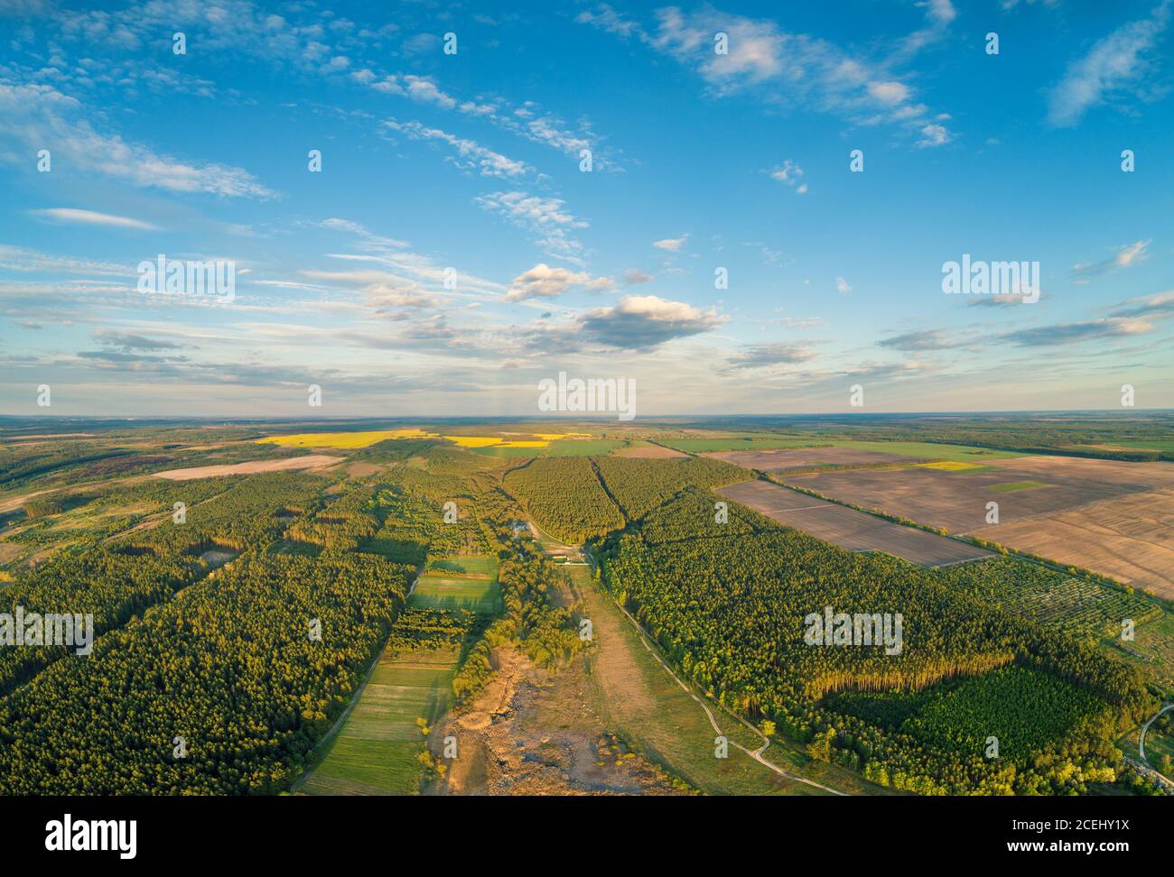 Rural landscape, aerial view, skyview of countryside and pine forest ...