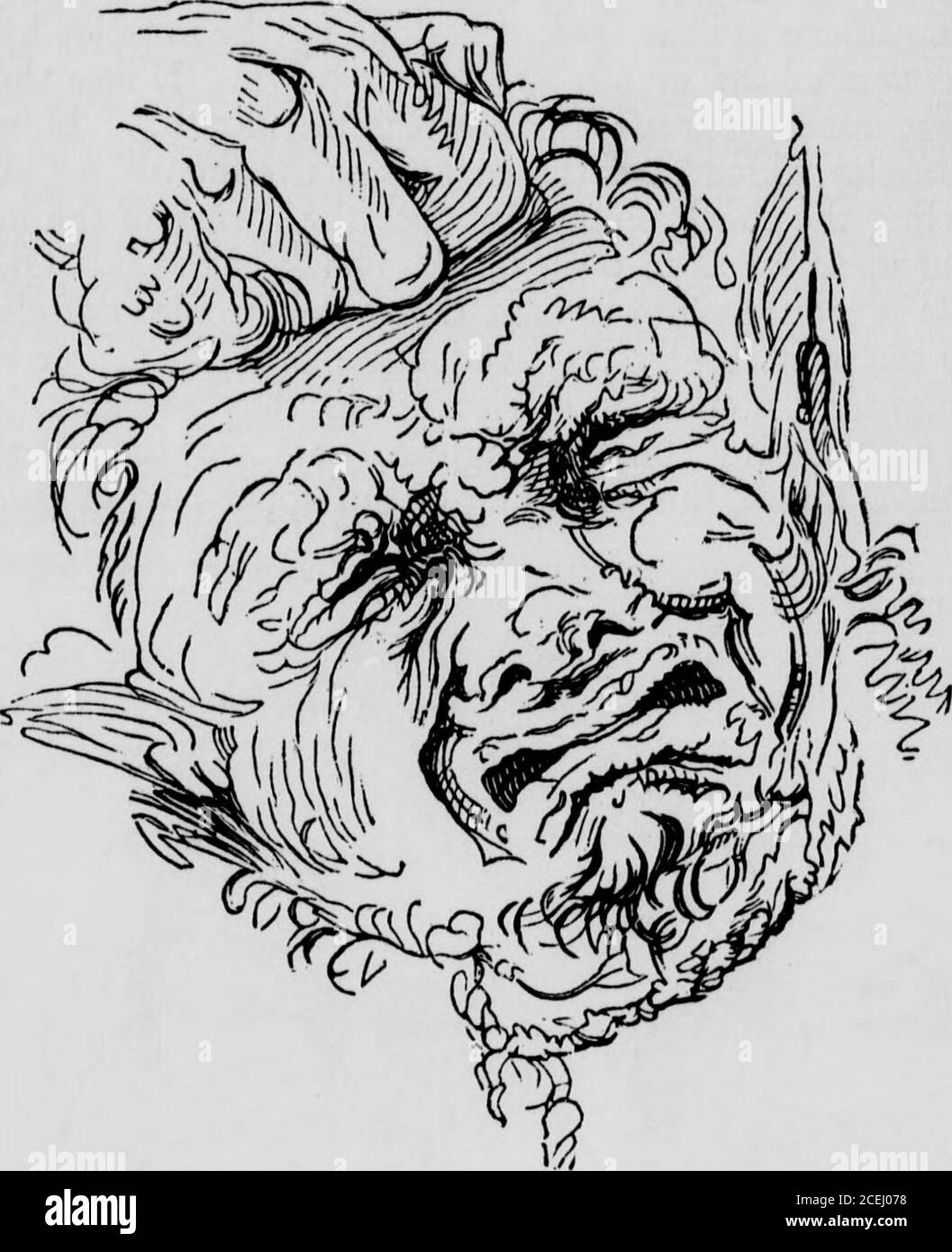 . Human physiology : designed for colleges and the higher classes in ...