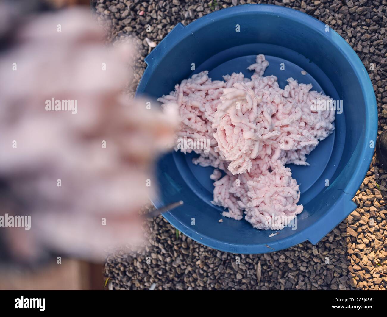 Plastic basin hi-res stock photography and images - Alamy