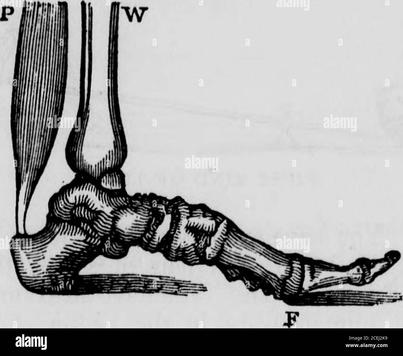 Large fulcrum Black and White Stock Photos & Images - Alamy