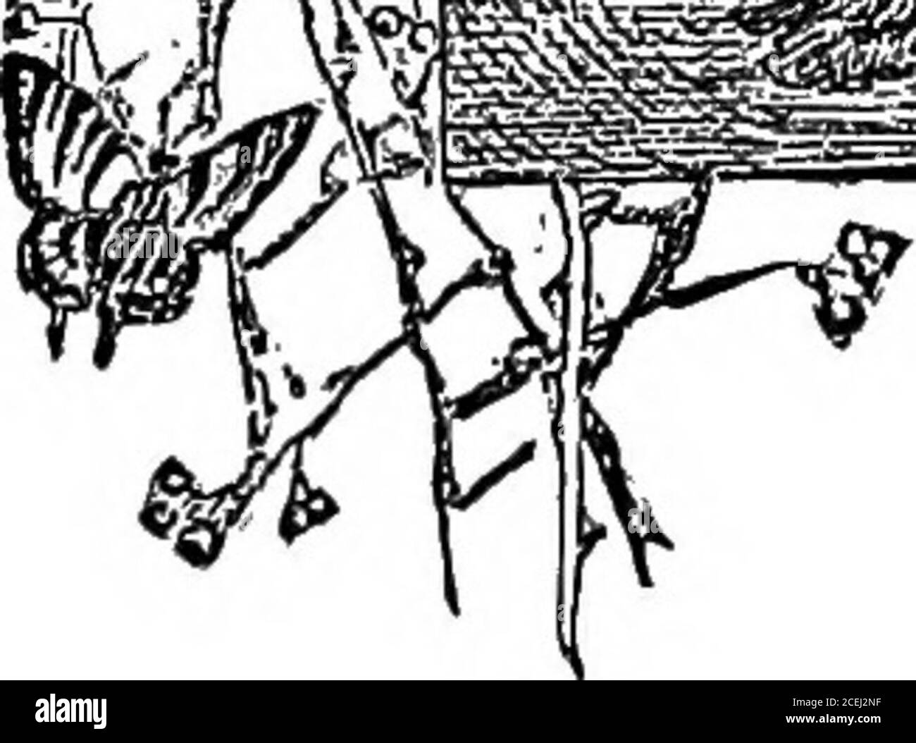 Kate bliss hi-res stock photography and images - Alamy